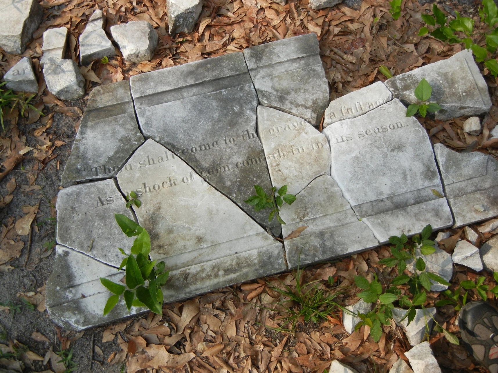 History of the Cemetery – Augusta's Historic Cottage Cemetery