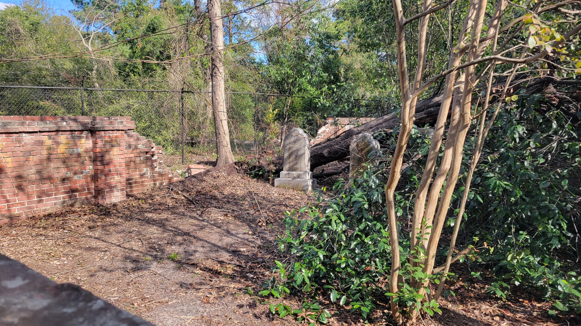 Hurricane Helene Update – Augusta's Historic Cottage Cemetery